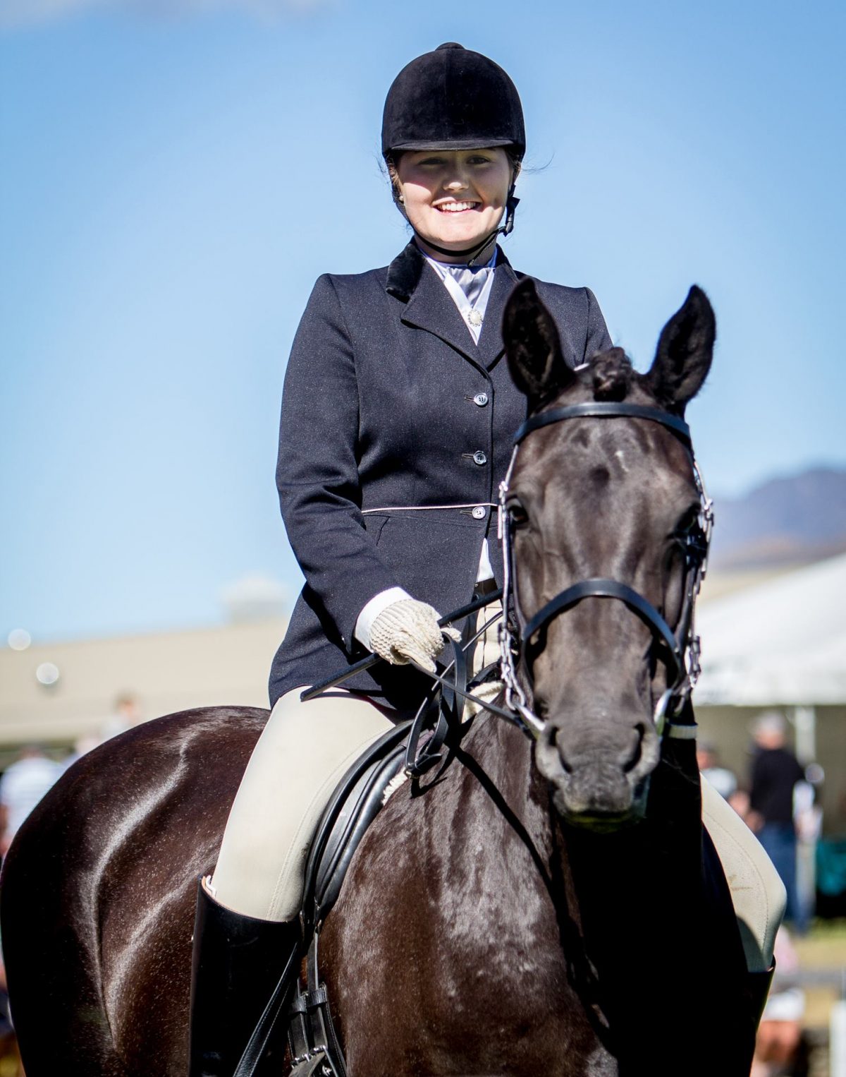 COMPETITION - A M Equestrian