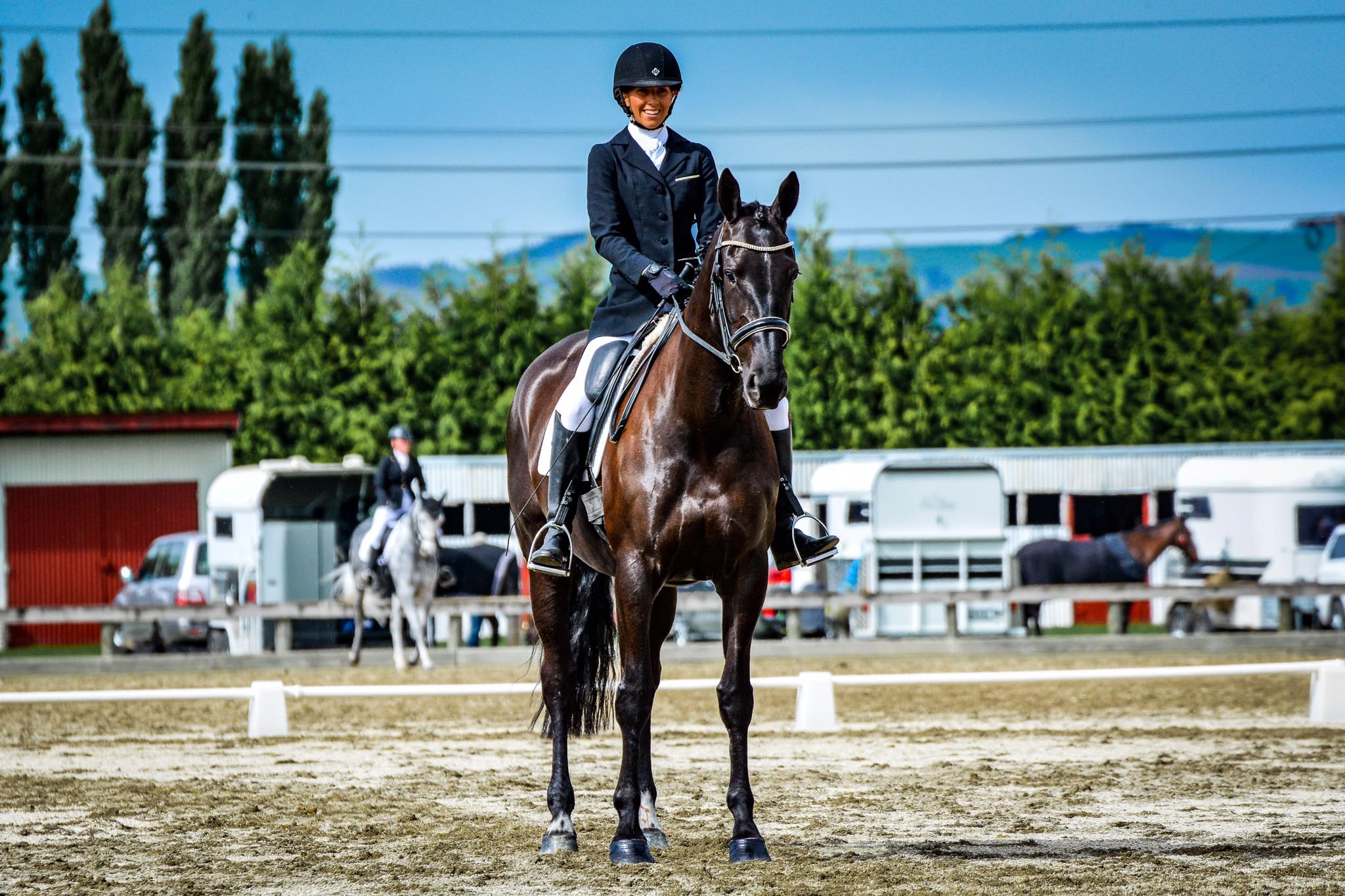COMPETITION - A M Equestrian