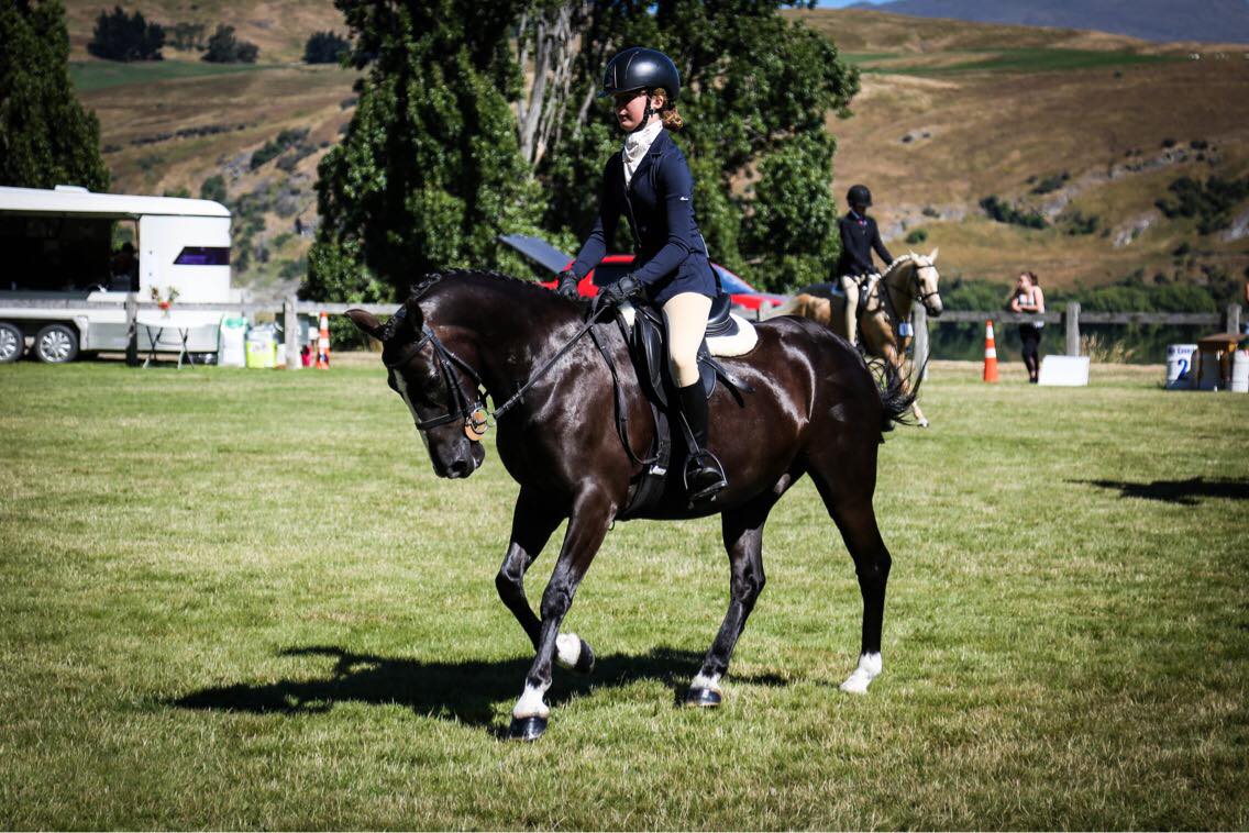 COMPETITION - A M Equestrian
