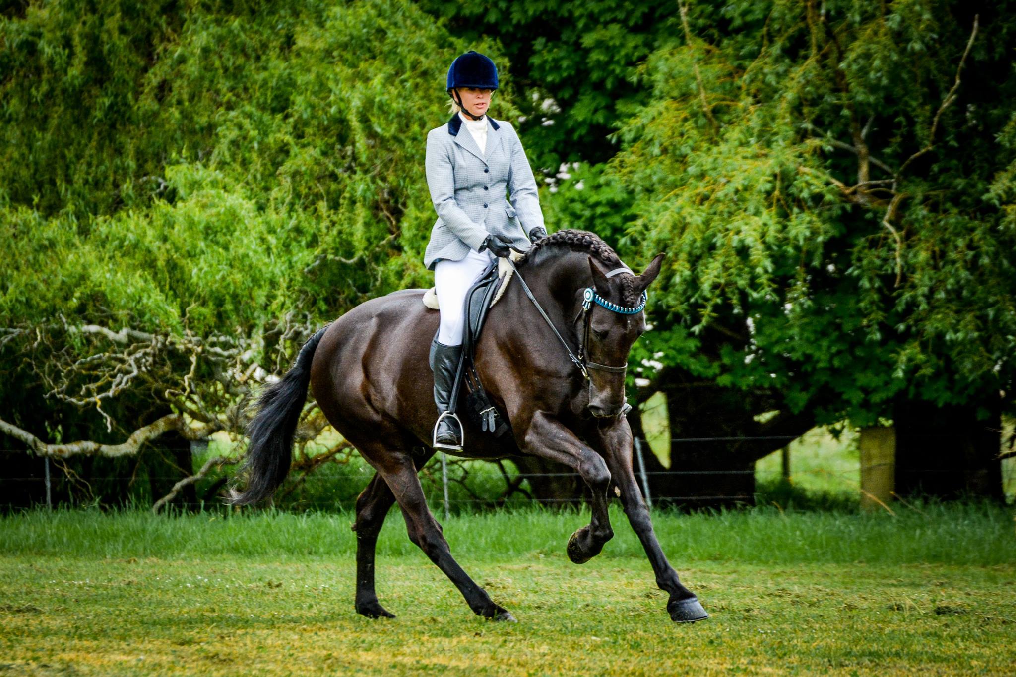 COMPETITION - A M Equestrian