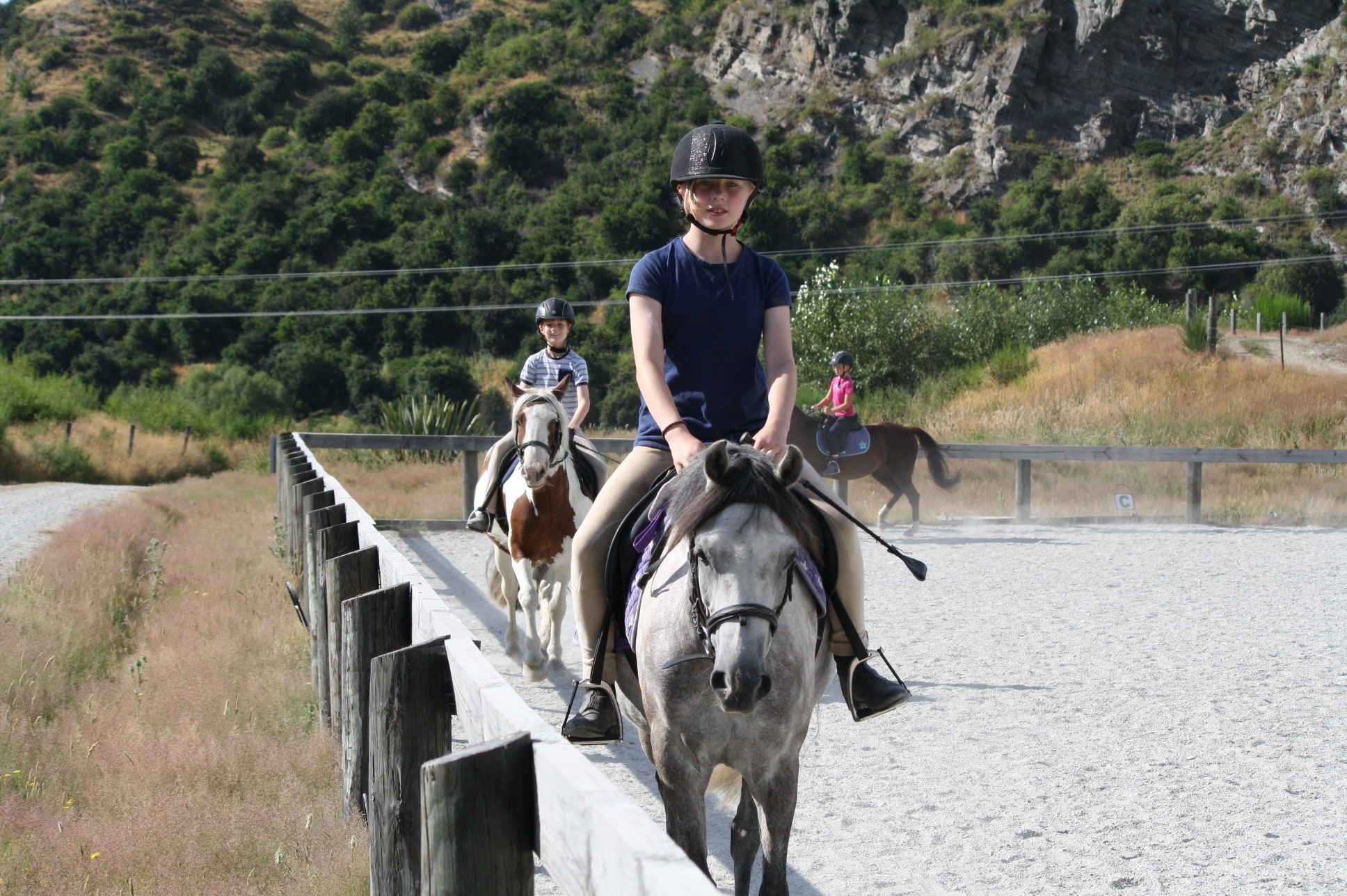 A M Equestrian – A M Equestrian Academy