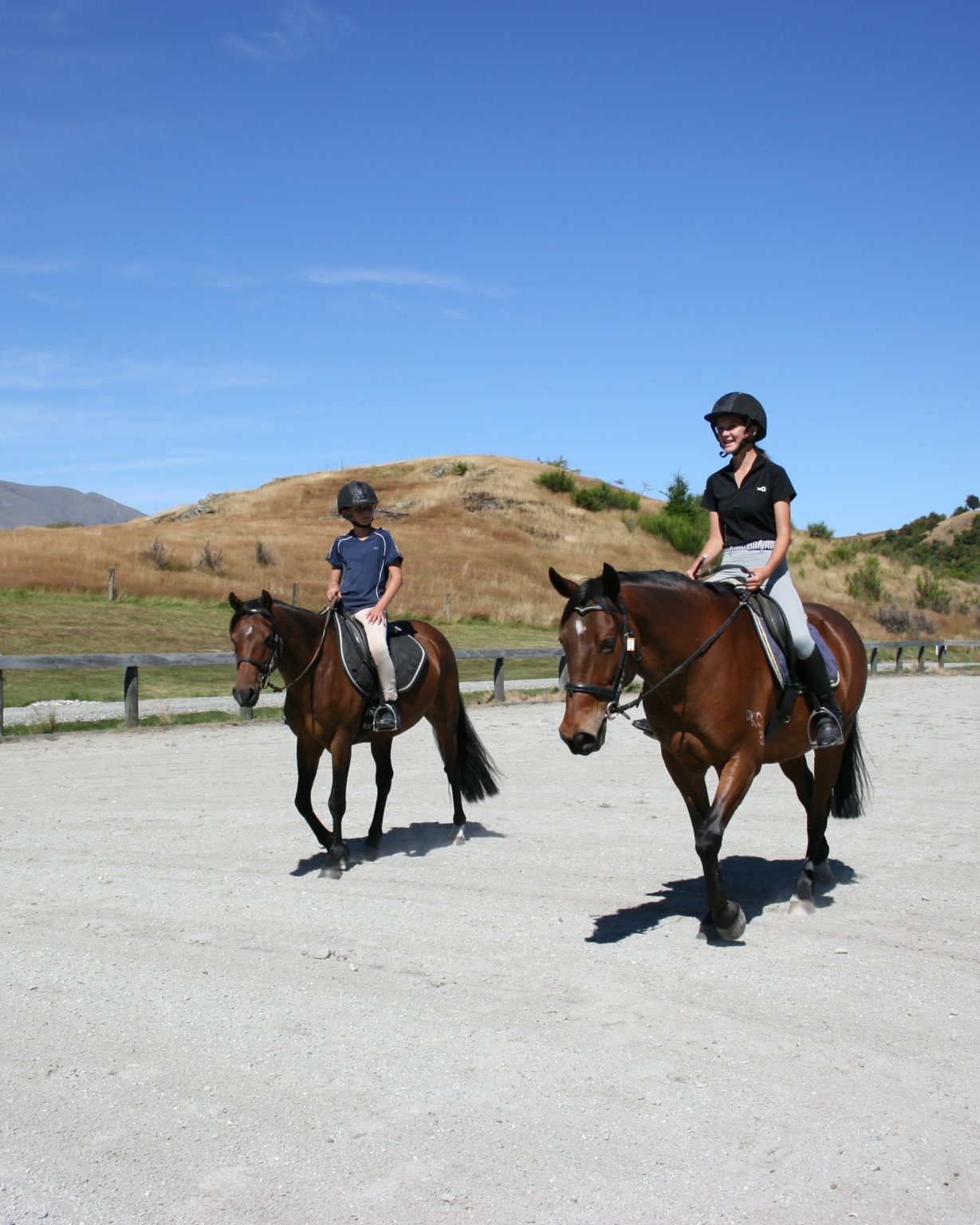 A M Equestrian - A M Equestrian Academy