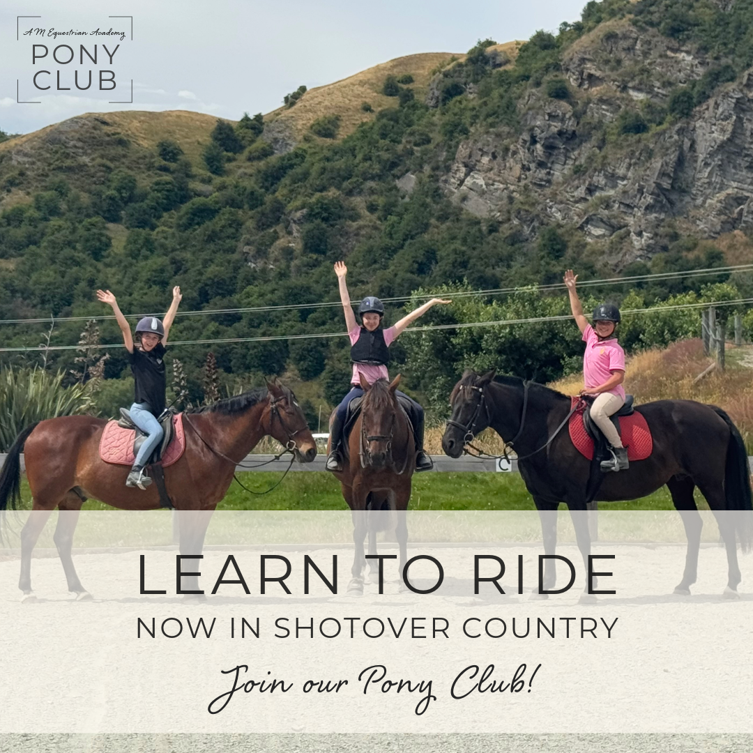 A M EQUESTRIAN PONY CLUB - A M Equestrian