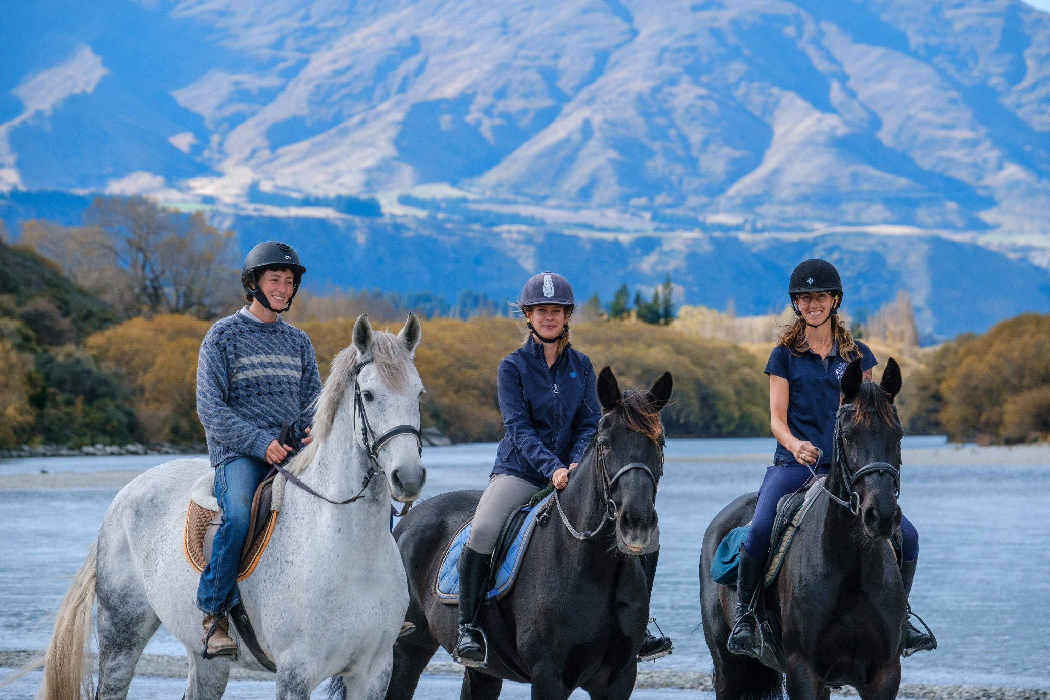 A M Equestrian - A M Equestrian Academy